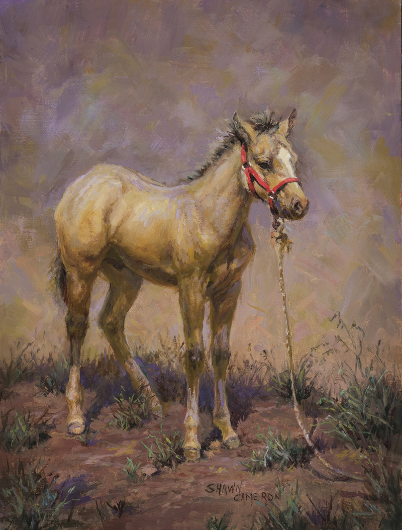 Shawn Cameron - Sigler Western Museum